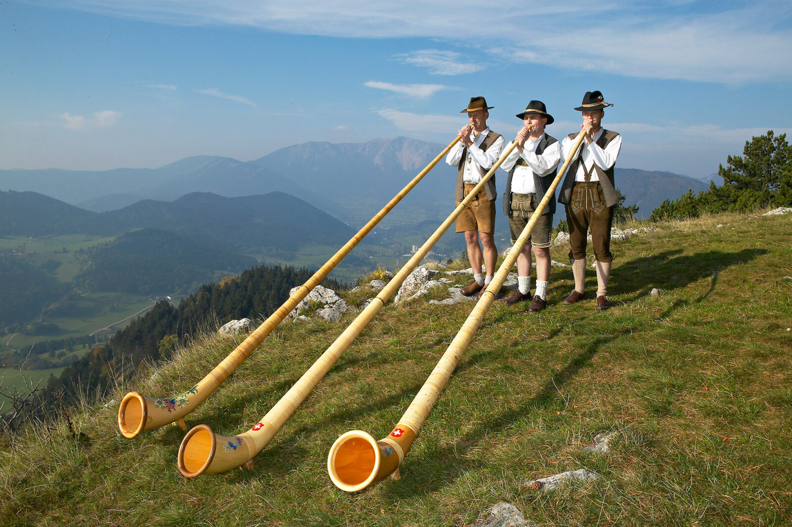 fz17056 Alphörner | Grünbach am Schneeberg